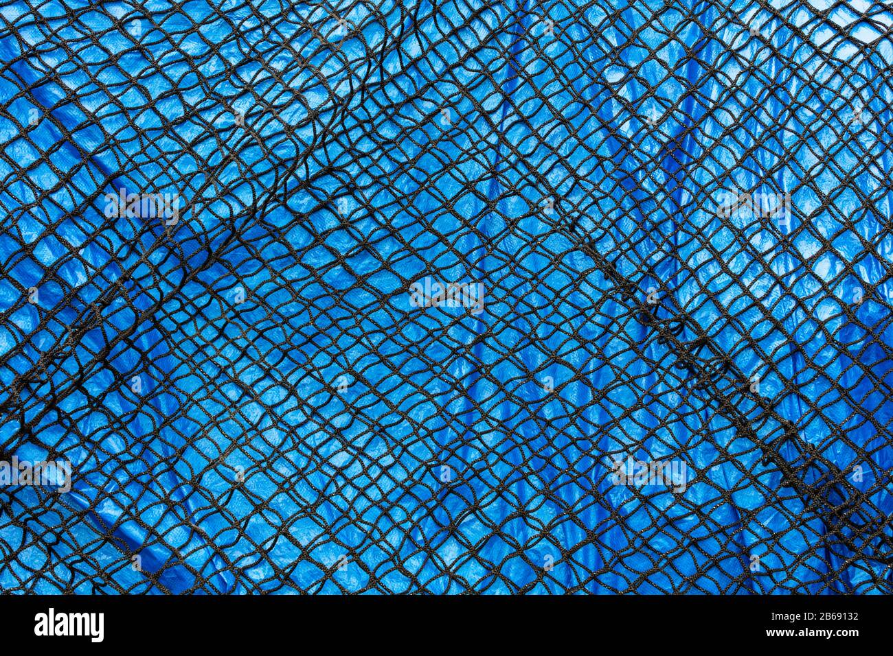 Detail of commercial fish net covering blue tarpaulin Stock Photo - Alamy