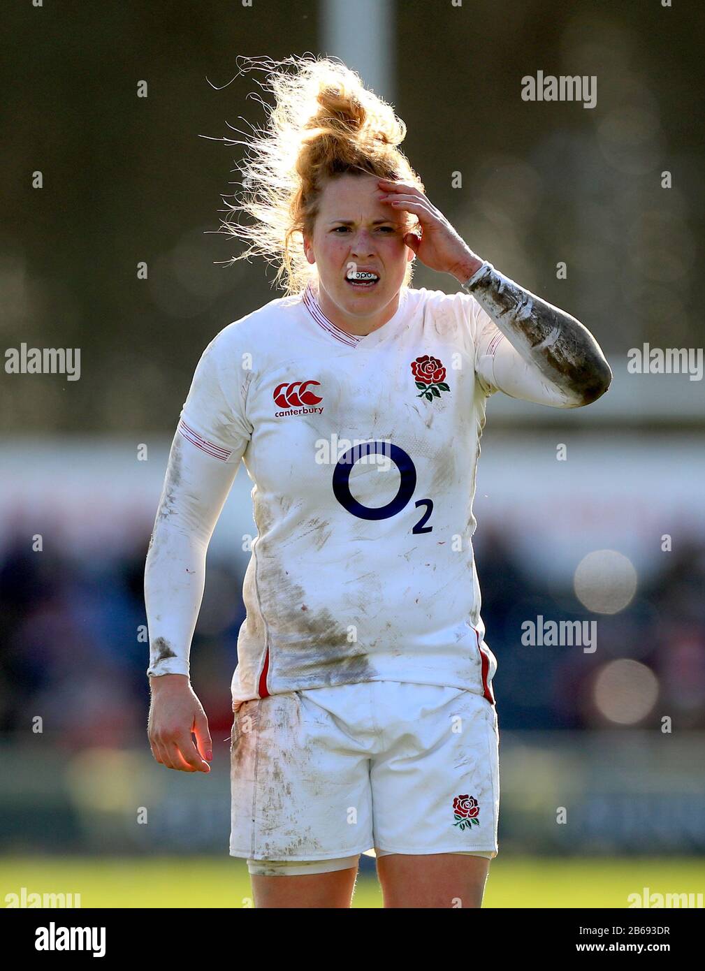 Amber reed hi-res stock photography and images - Alamy