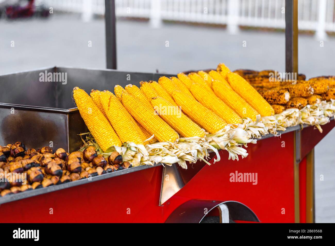 Sweet boiled corn on the counter on the street, concept of street food ...