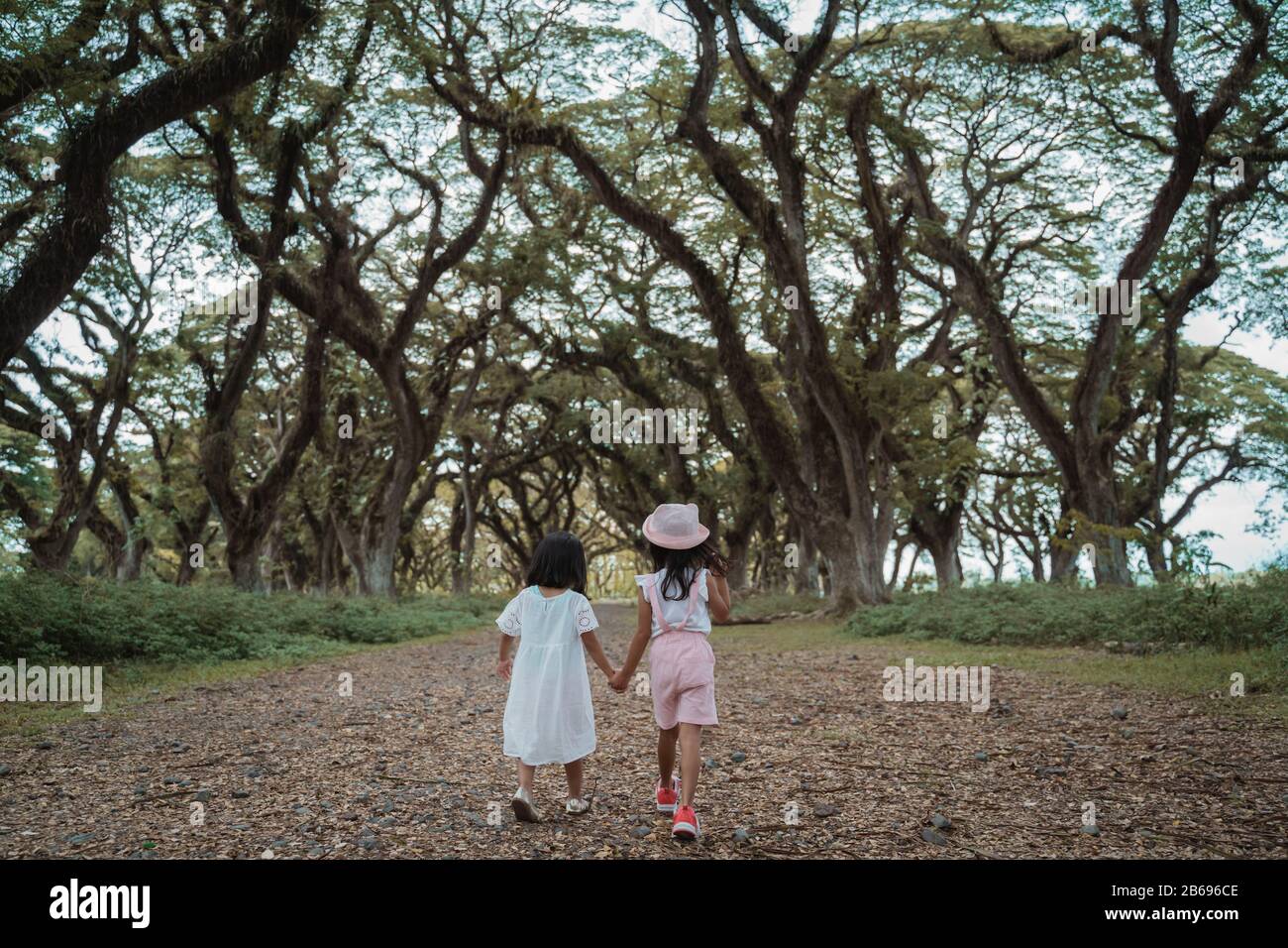 two children walk away between a shady tree full of mystery Stock Photo ...