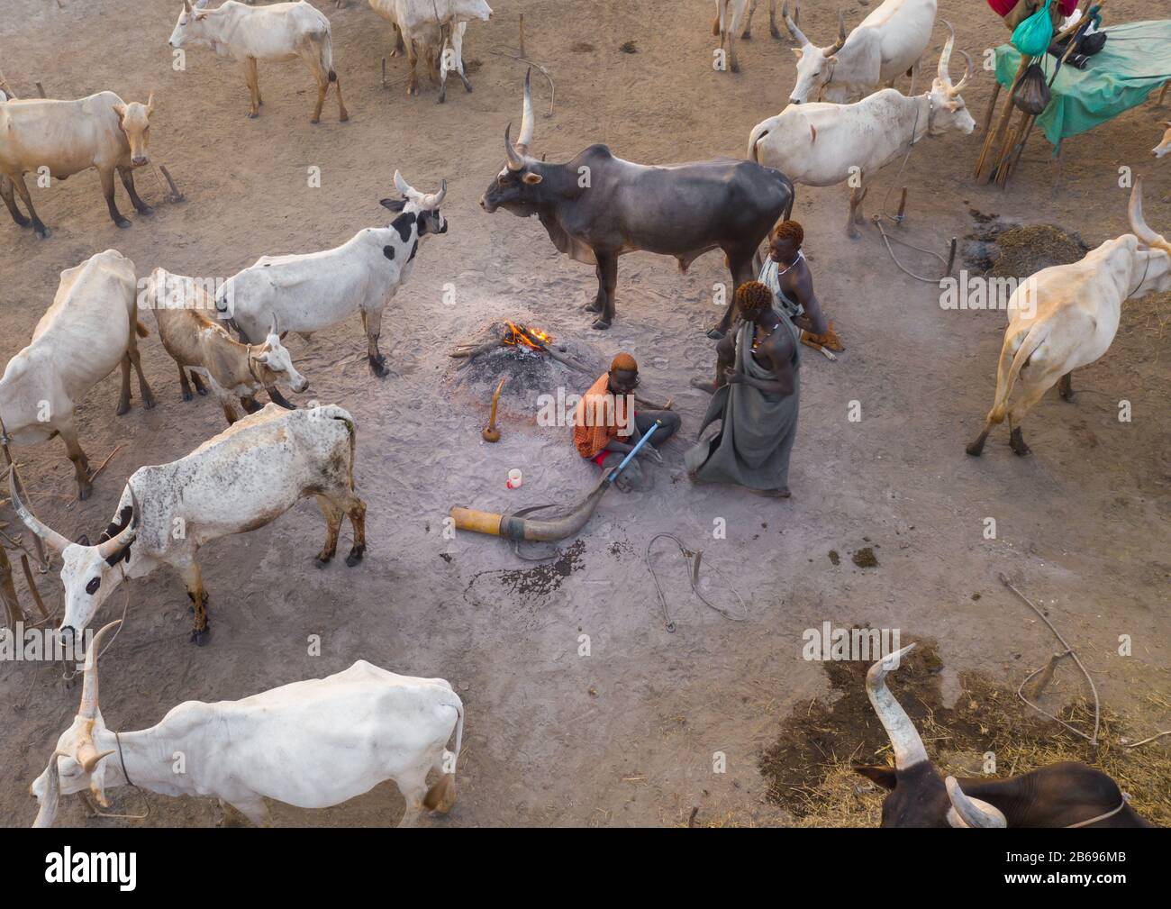 Aerial view of long horns cows in a Mundari tribe cattle camp, Central Equatoria, Terekeka ...