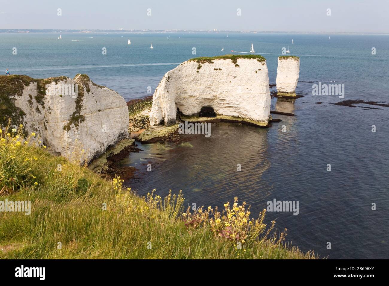Old Harry Rocks, Handfast Point, Dorset, England, UK, from the coastal ...