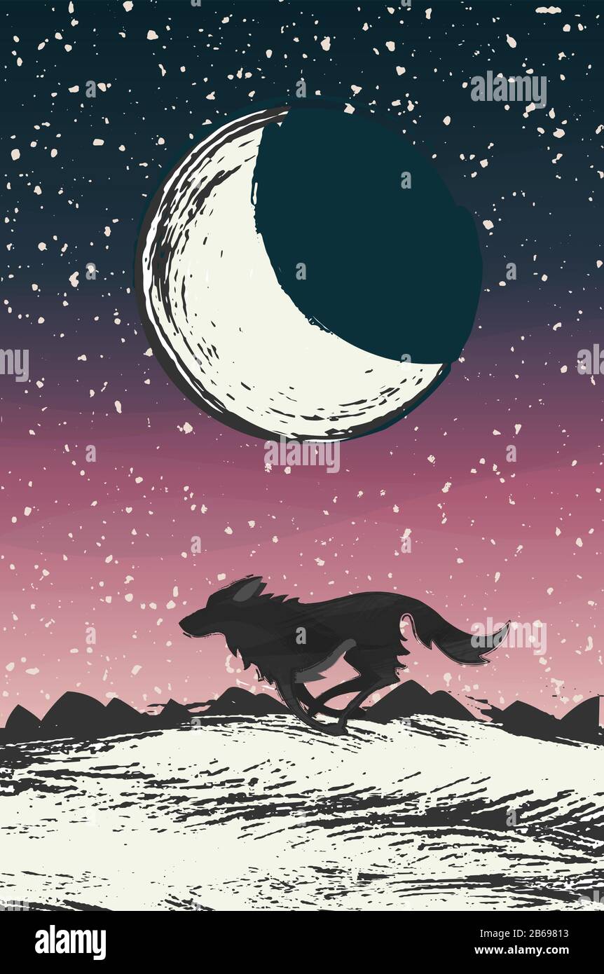 Wolf Running At Night