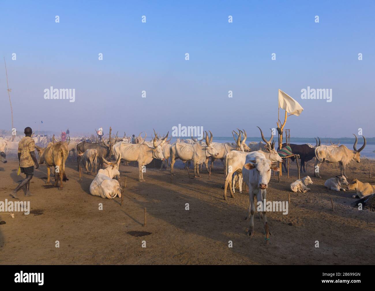 Ankole flag hi-res stock photography and images - Alamy