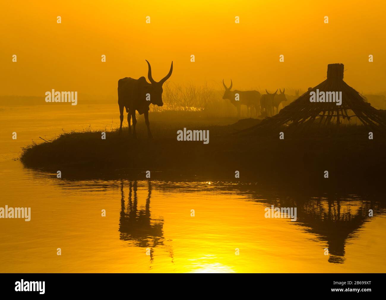 Sudan nile river bank hi-res stock photography and images - Alamy