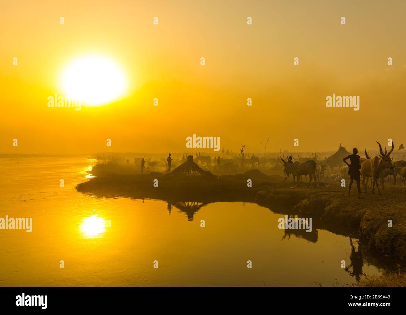 Mundari tribe people and cows on the bank of river Nile at sunset ...