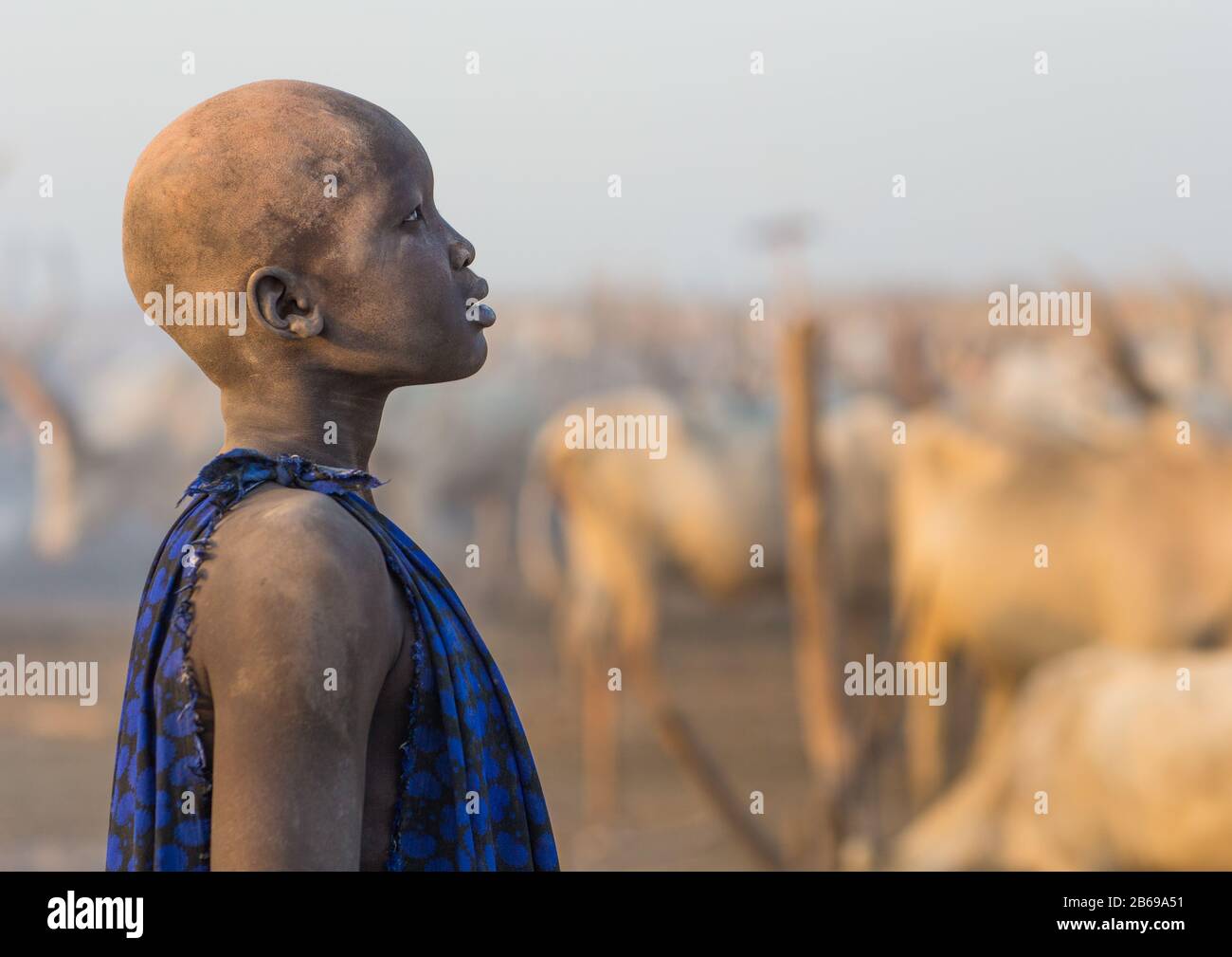 Portrait of a Mundari tribe boy covered in ash to repel flies and mosquitoes in a cattle camp ...