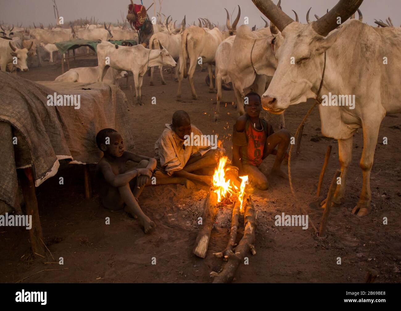 Campfire boys hi-res stock photography and images - Alamy