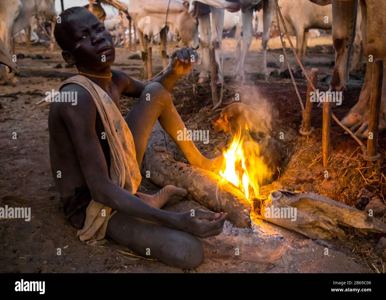 Mundari tribe boy making a campfire with dried cow dungs to repel flies ...