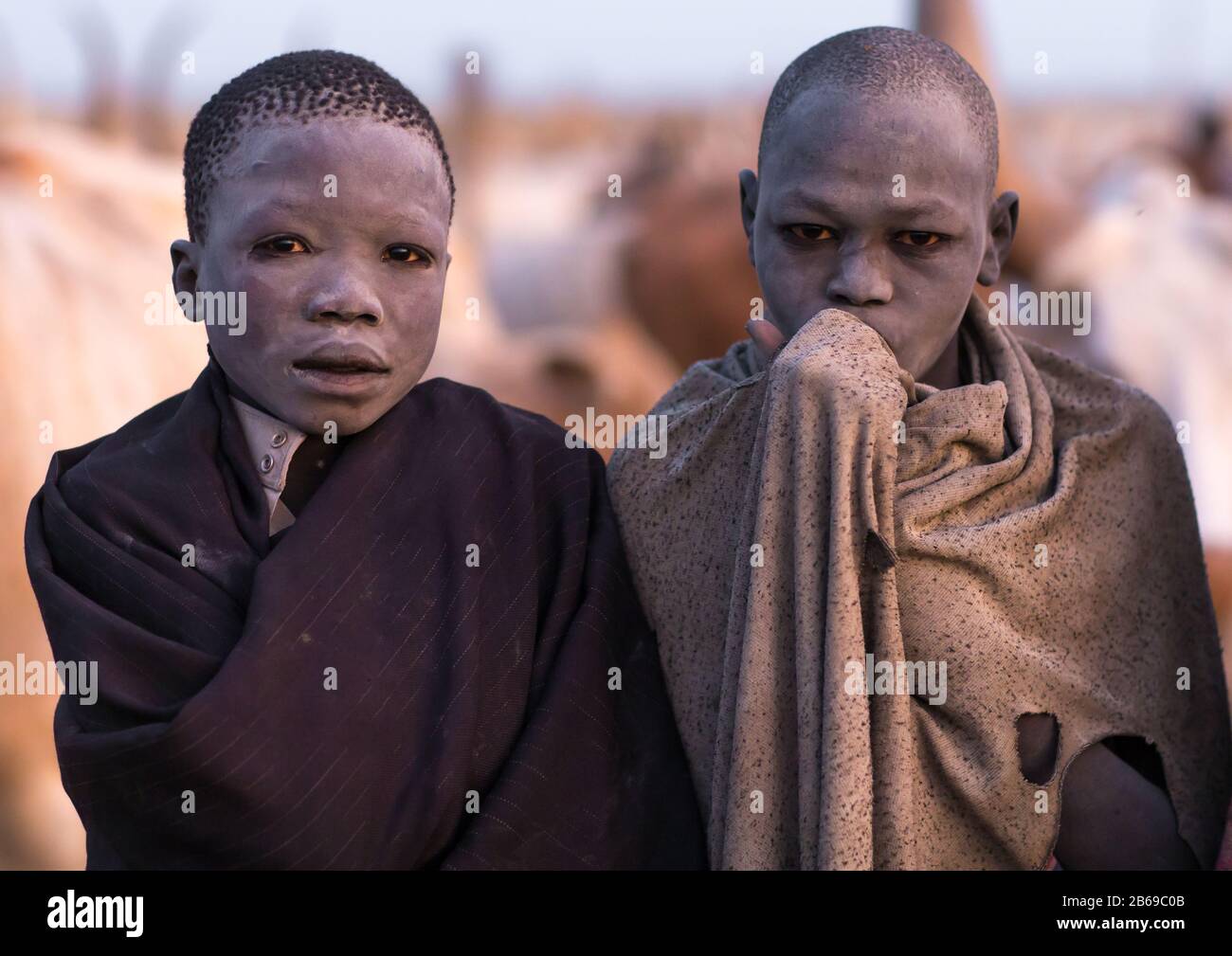 Mundari tribe boys covered in ash to repel flies and mosquitoes in a ...