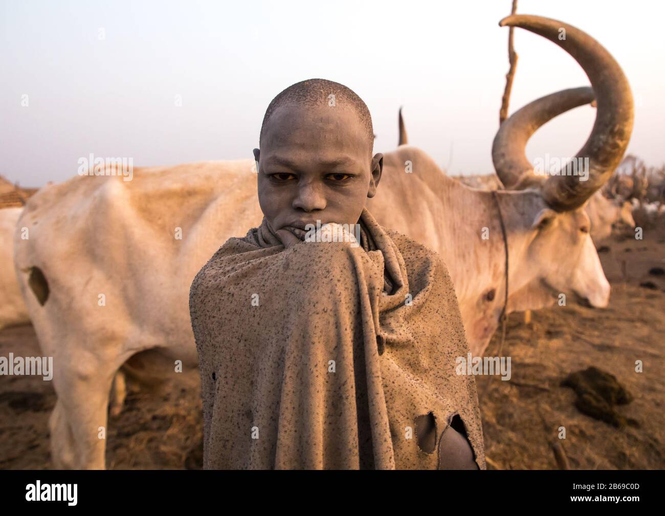 A Mundari tribe boy wrapped in blanket to fight the cold in a cattle camp, Central Equatoria ...