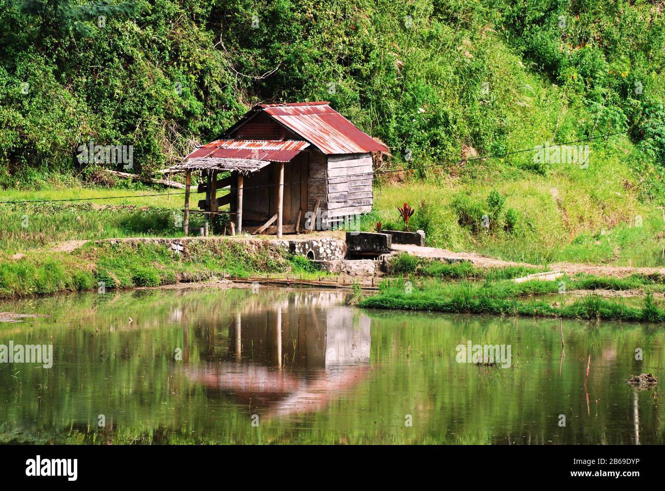 Sawah hi-res stock photography and images - Alamy