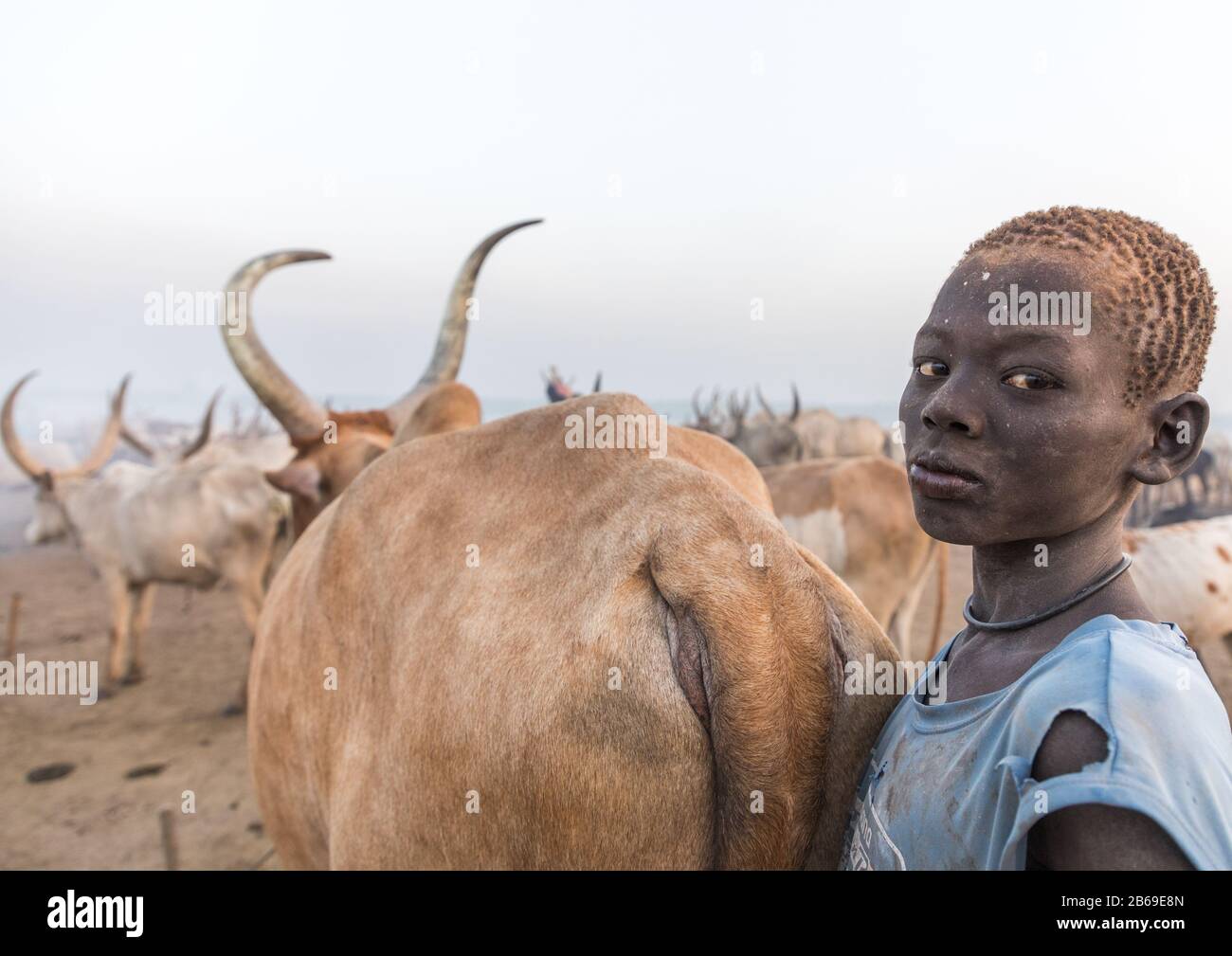 Portrait of a Mundari tribe boy covered in ash to repel flies and mosquitoes in a cattle camp ...