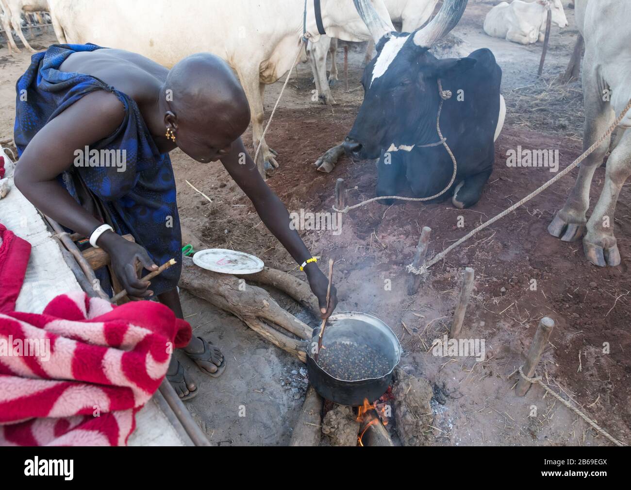 Mundari tribe woman roasting coffee in a cattle camp, Central Equatoria, Terekeka, South Sudan ...