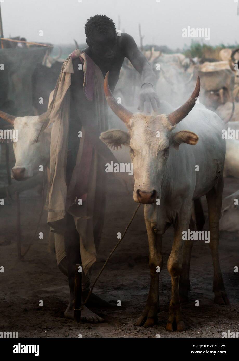 Watusi Men High Resolution Stock Photography and Images - Alamy