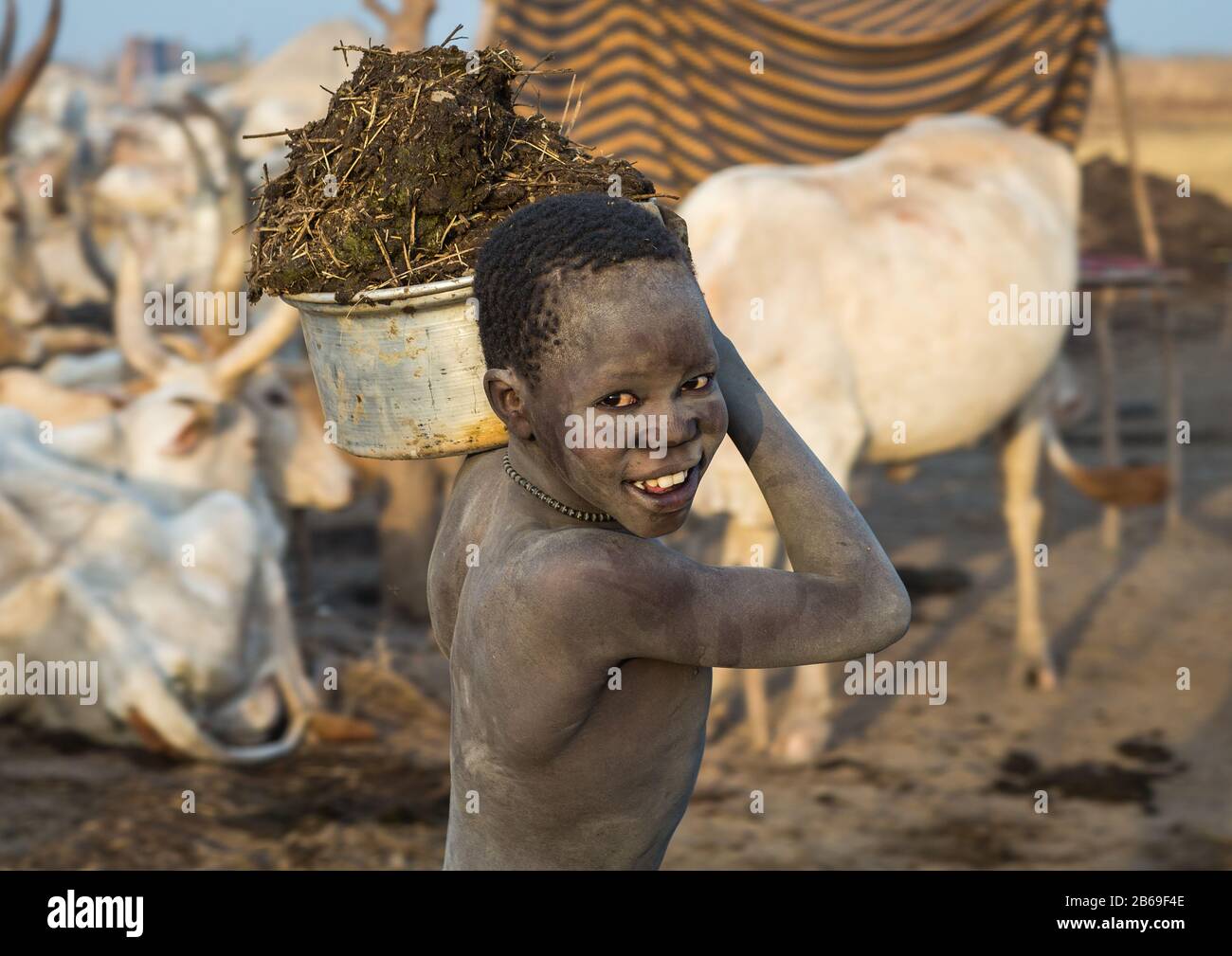 Smiling Mundari tribe boy collecting cow dungs to burn to repel flies ...