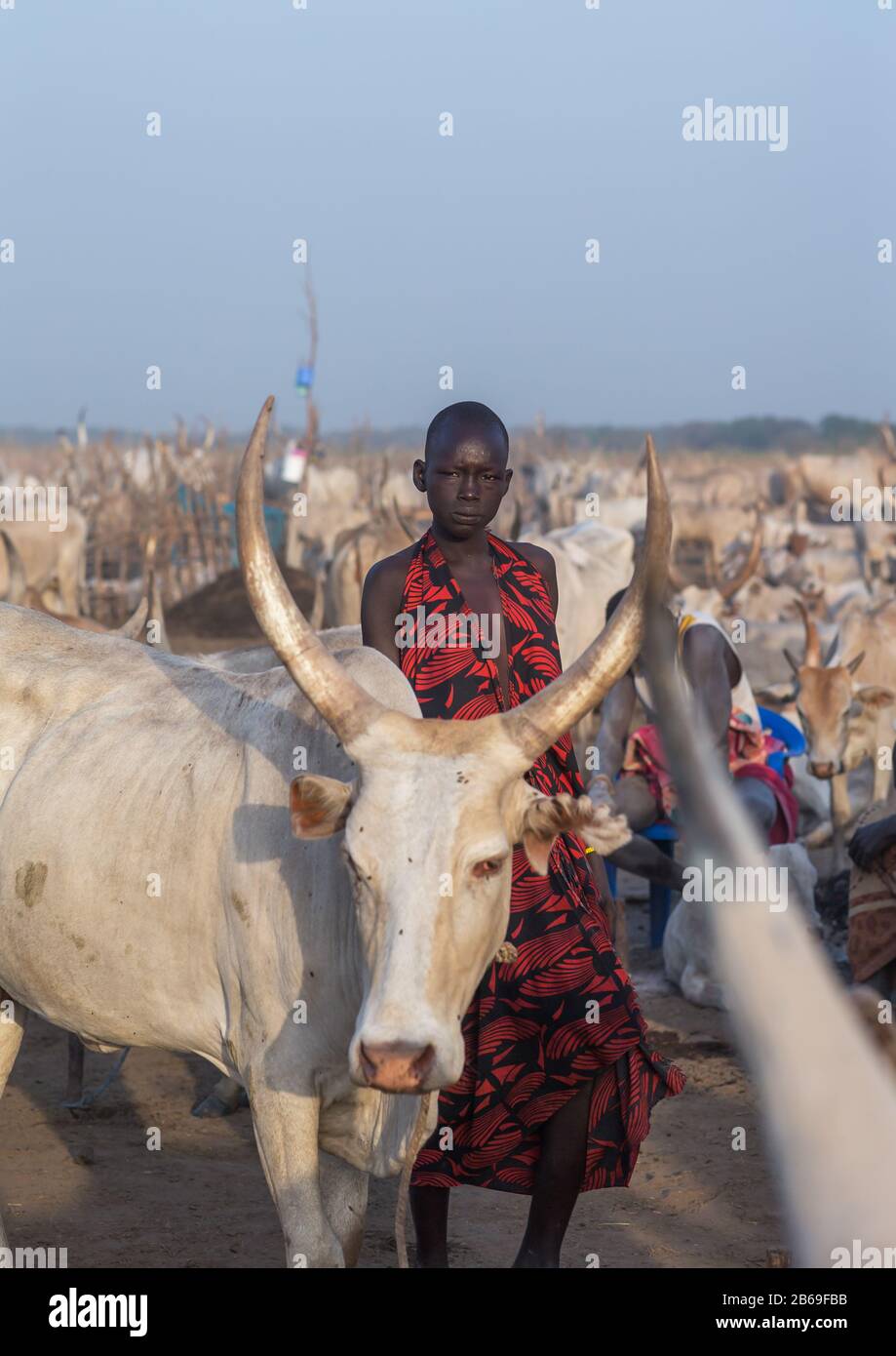 Portrait of a Mundari tribe woman in a cattle camp, Central Equatoria ...
