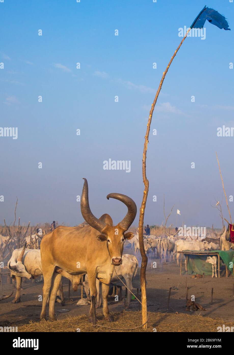 Ankole flag hi-res stock photography and images - Alamy