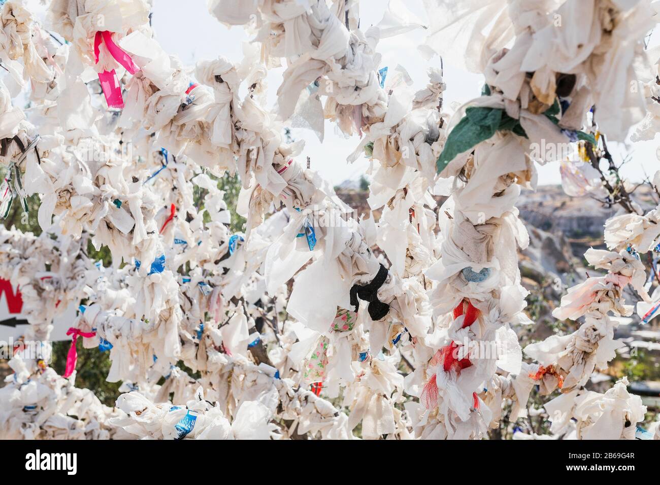 Spiritual ritual tree with white ribbons on it Stock Photo - Alamy