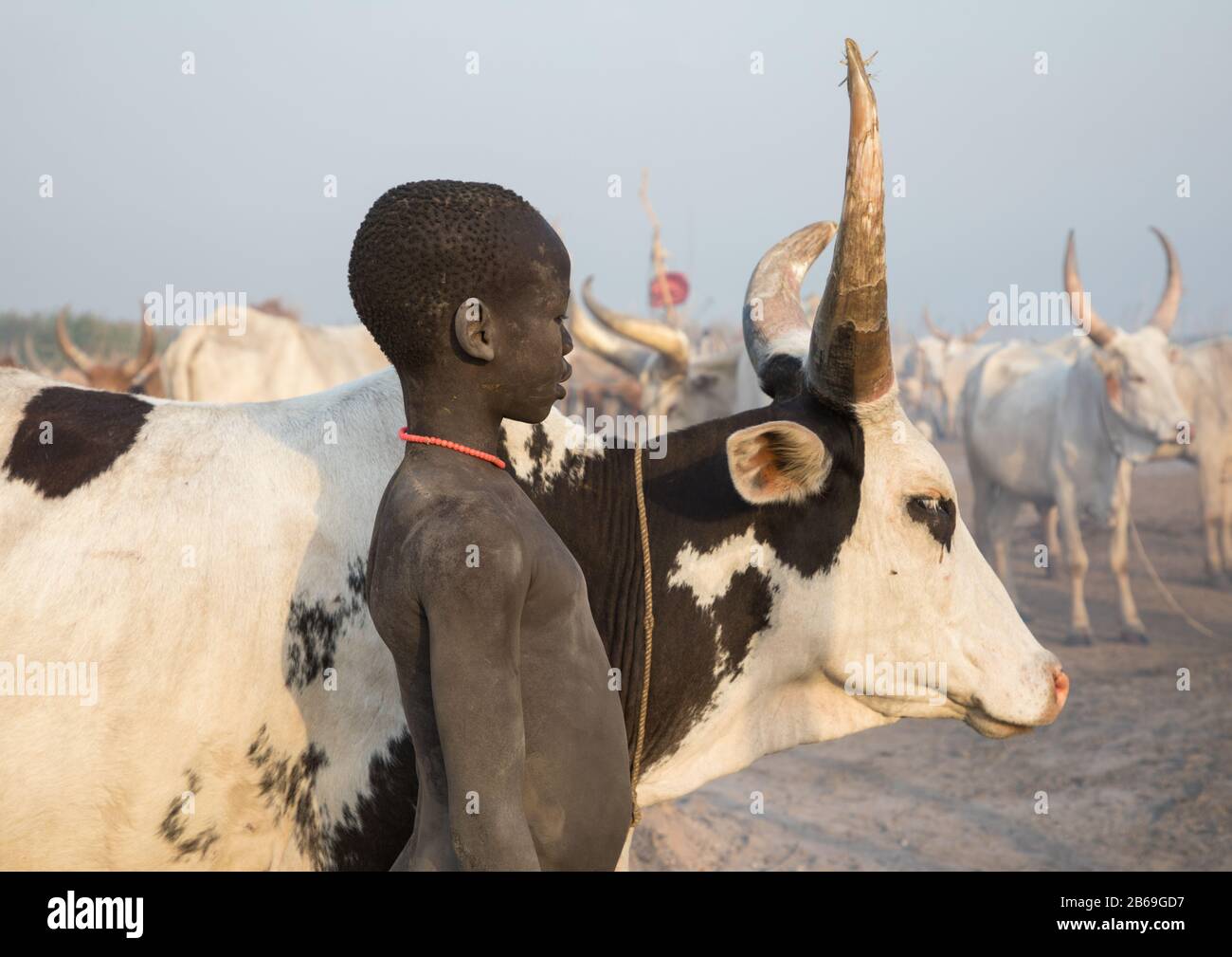 Portrait of a Mundari tribe boy in a cattle camp, Central Equatoria ...