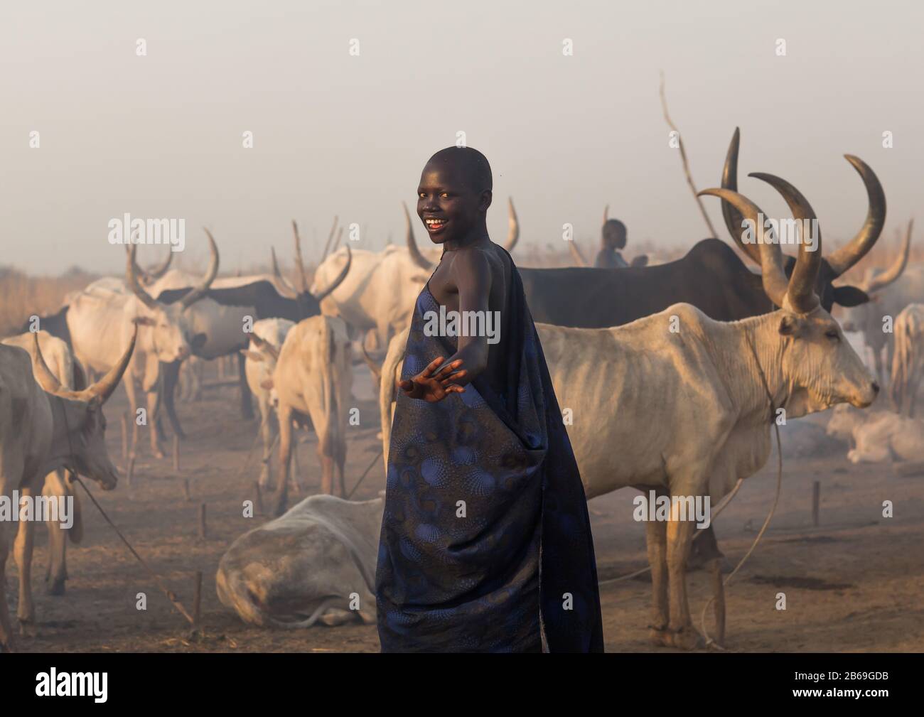 Ssd 20 7936 hi-res stock photography and images - Alamy