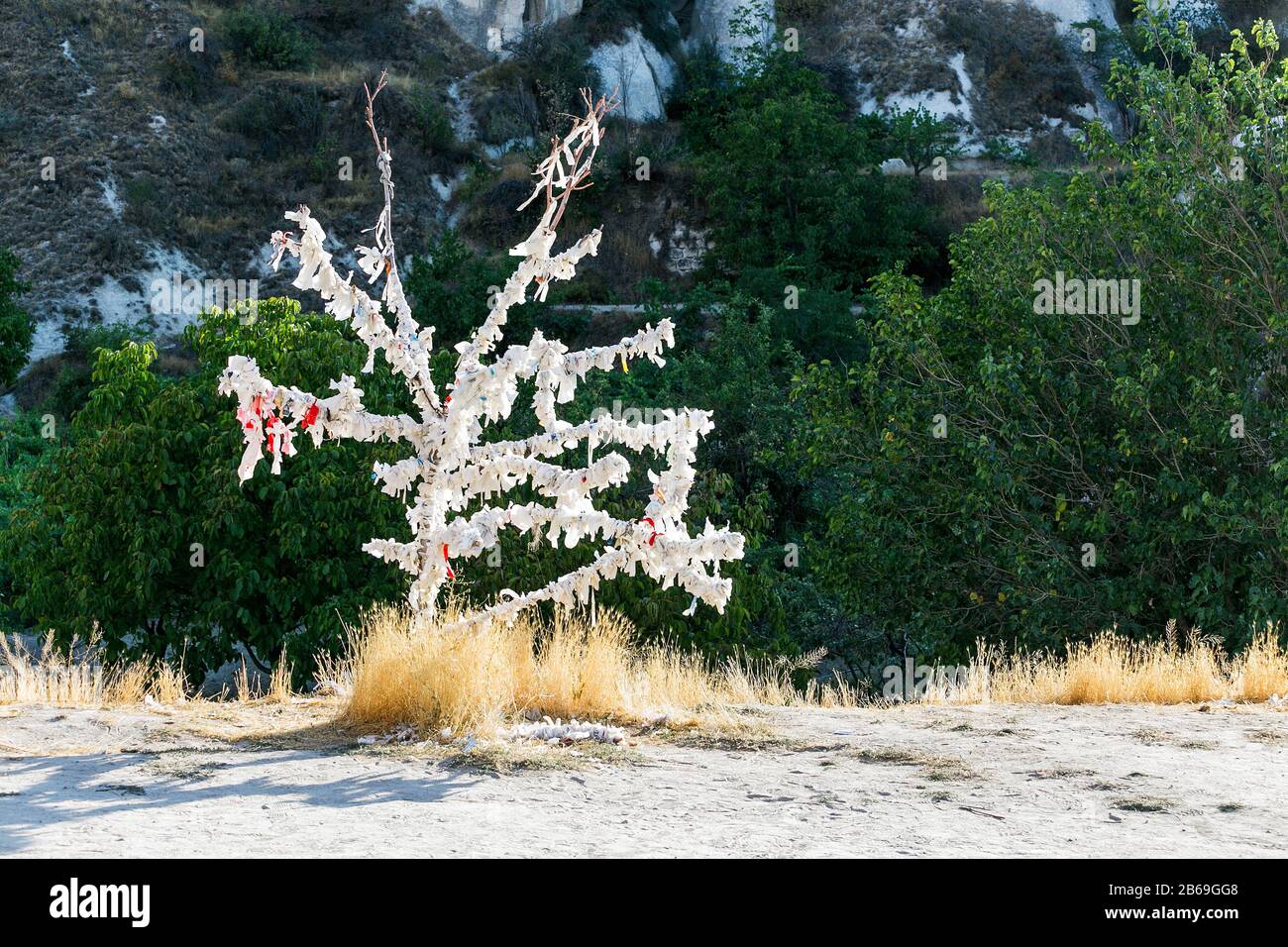 Spiritual ritual tree with white ribbons on it Stock Photo - Alamy
