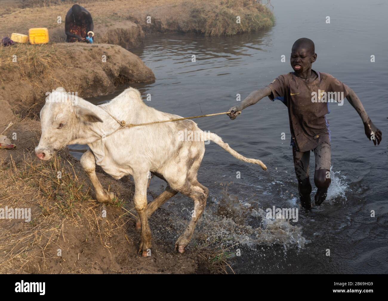 Sudan cattle boy hi-res stock photography and images - Alamy