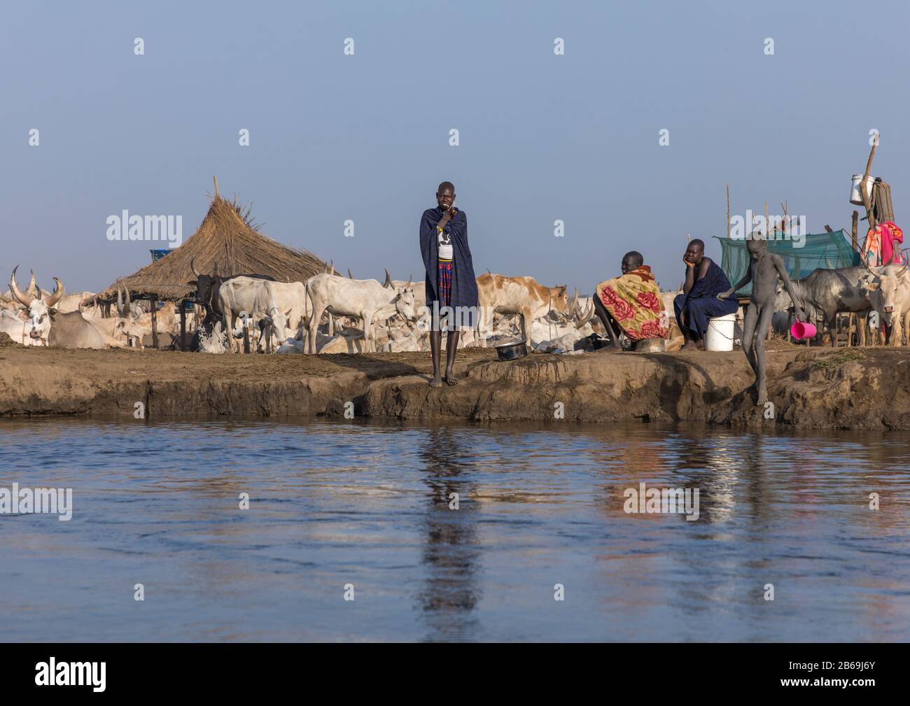 Mundari tribe people in a cattle camp along the river bank of the Nile ...
