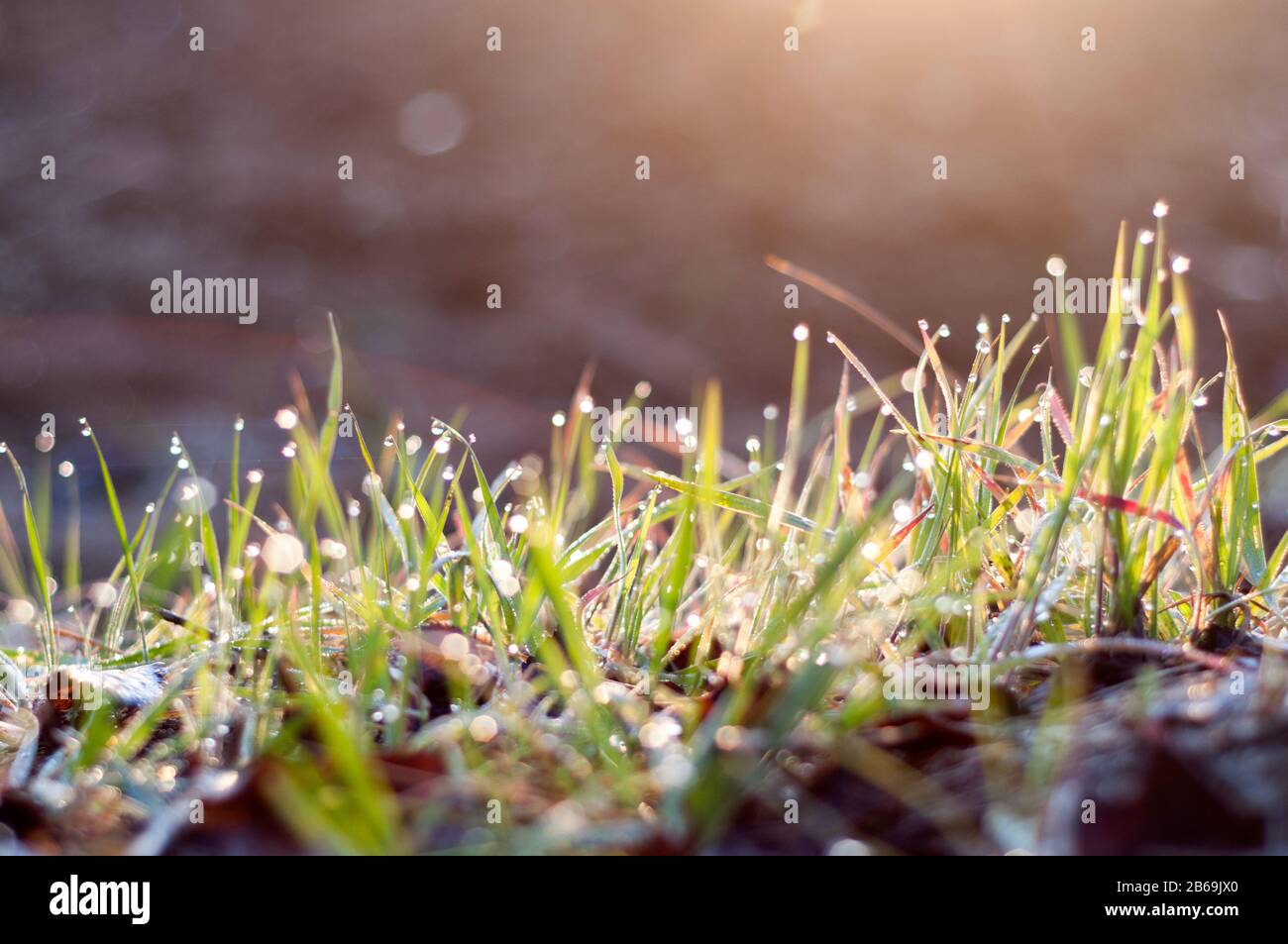 Scenic lights hi-res stock photography and images - Alamy