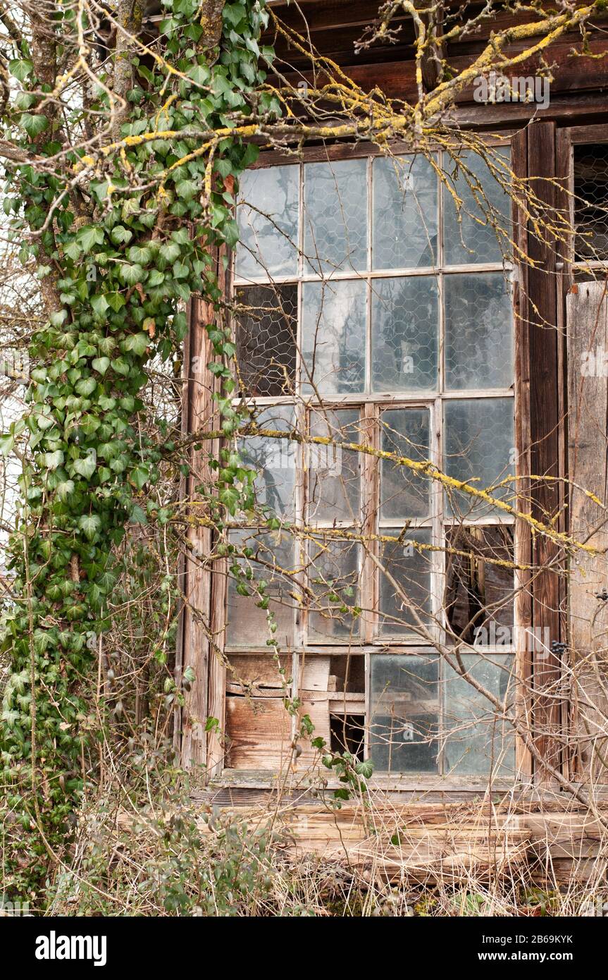 Damaged Lattice High Resolution Stock Photography and Images - Alamy