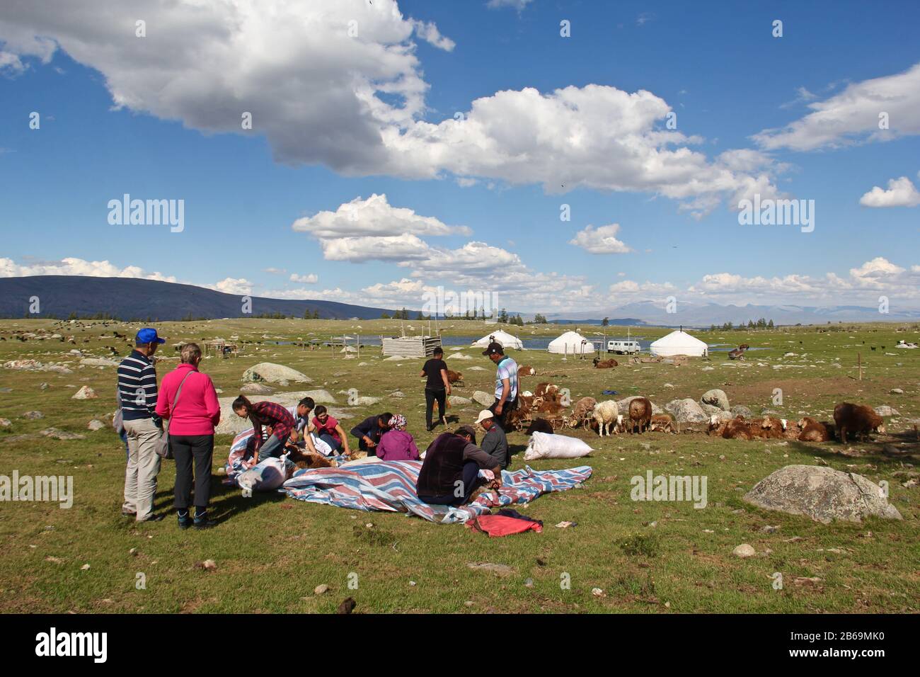 Mongolian beautiful nature and wild life Stock Photo - Alamy