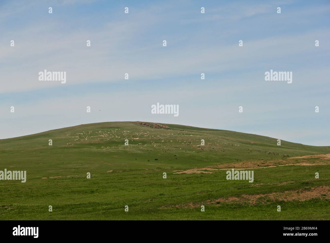 Mongolian beautiful nature and wild life Stock Photo - Alamy