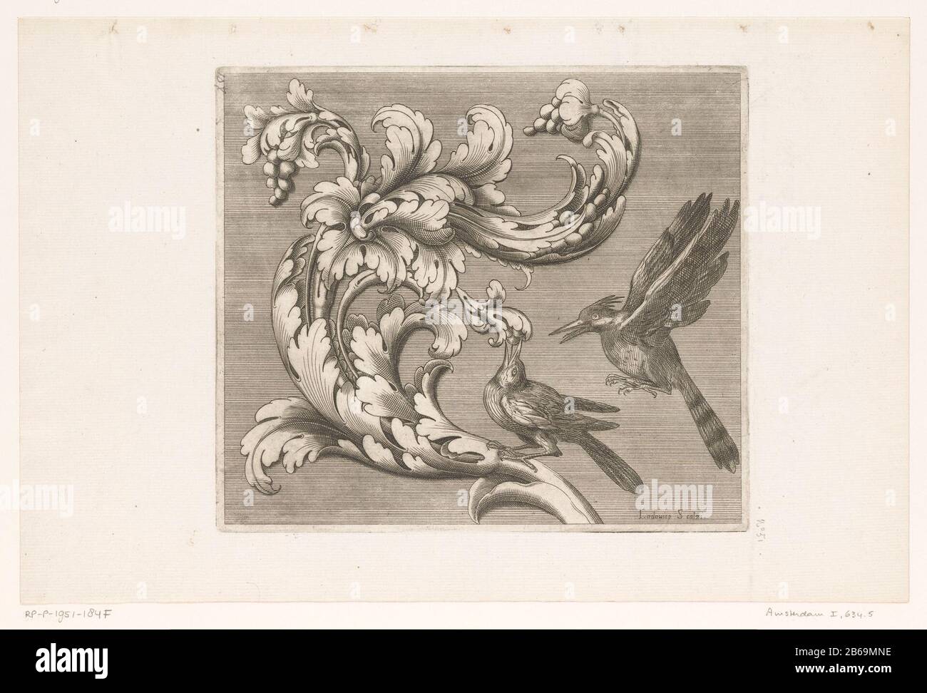 Birds acanthus hi-res stock photography and images - Alamy