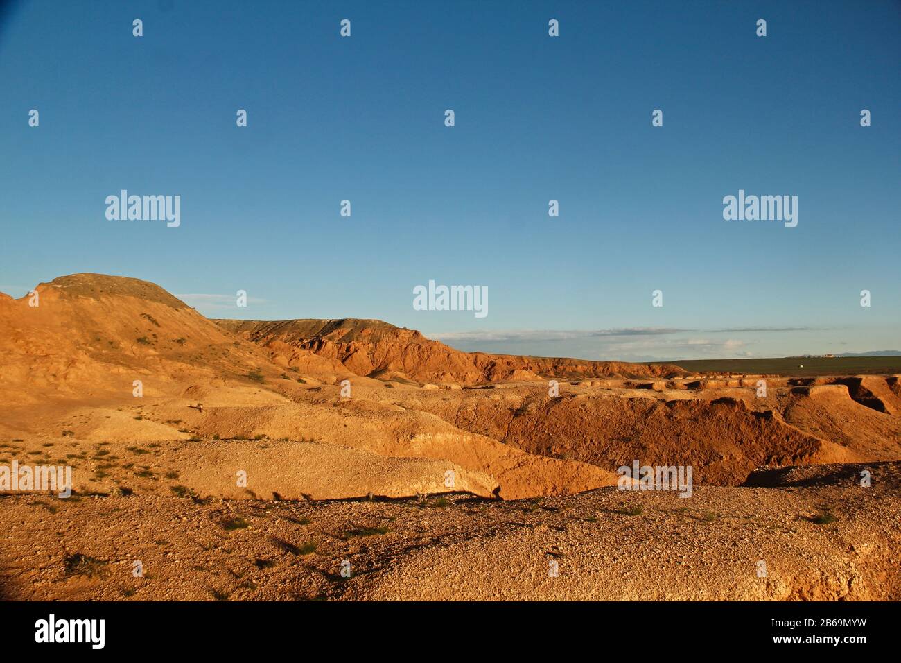 Mongolian beautiful nature and wild life Stock Photo - Alamy