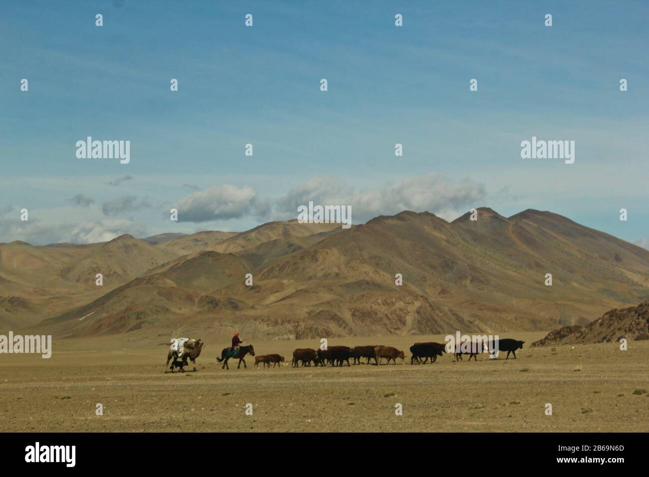 Mongolian beautiful nature and wild life Stock Photo - Alamy