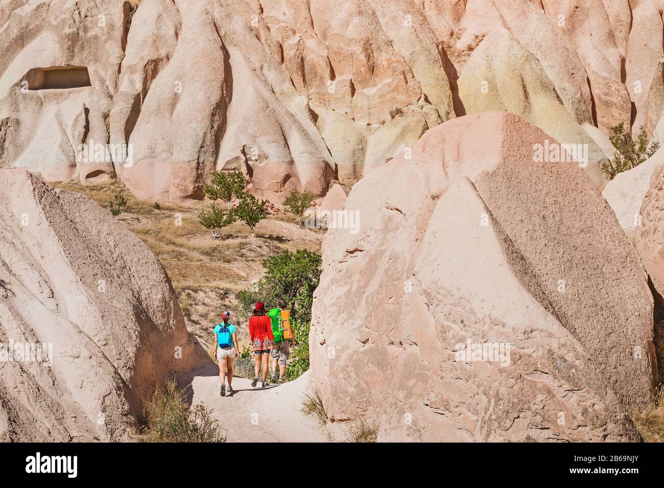 Group of three active friends backpackers tourists hiking among ...