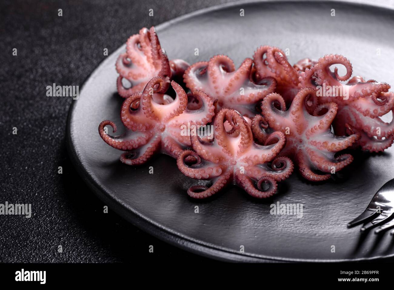 Little Octopus Food