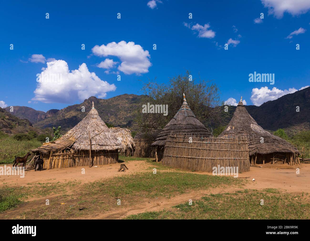 Houses in a Larim tribe traditional village, Boya Mountains, Imatong ...