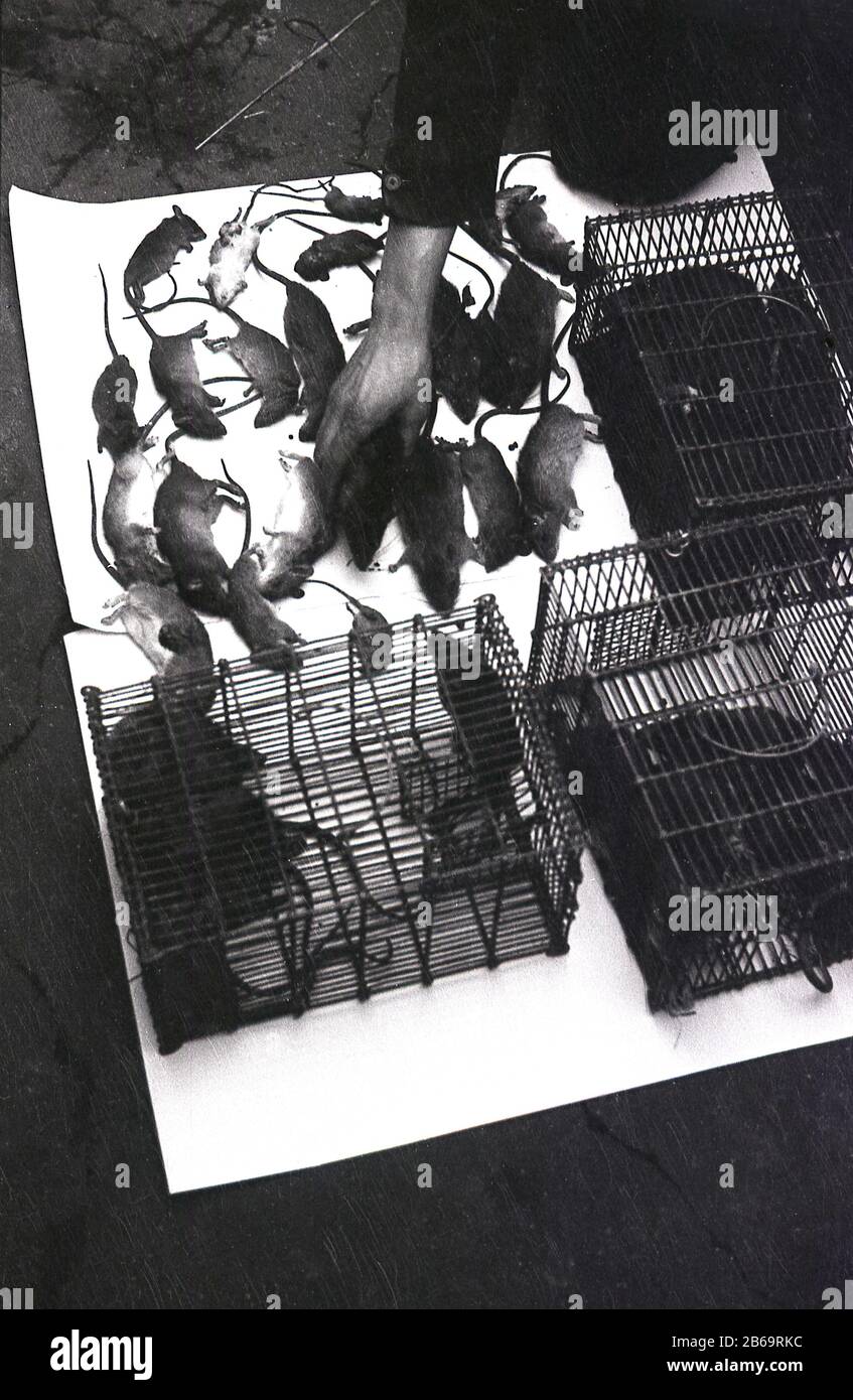 Metal cages outside hi-res stock photography and images - Alamy