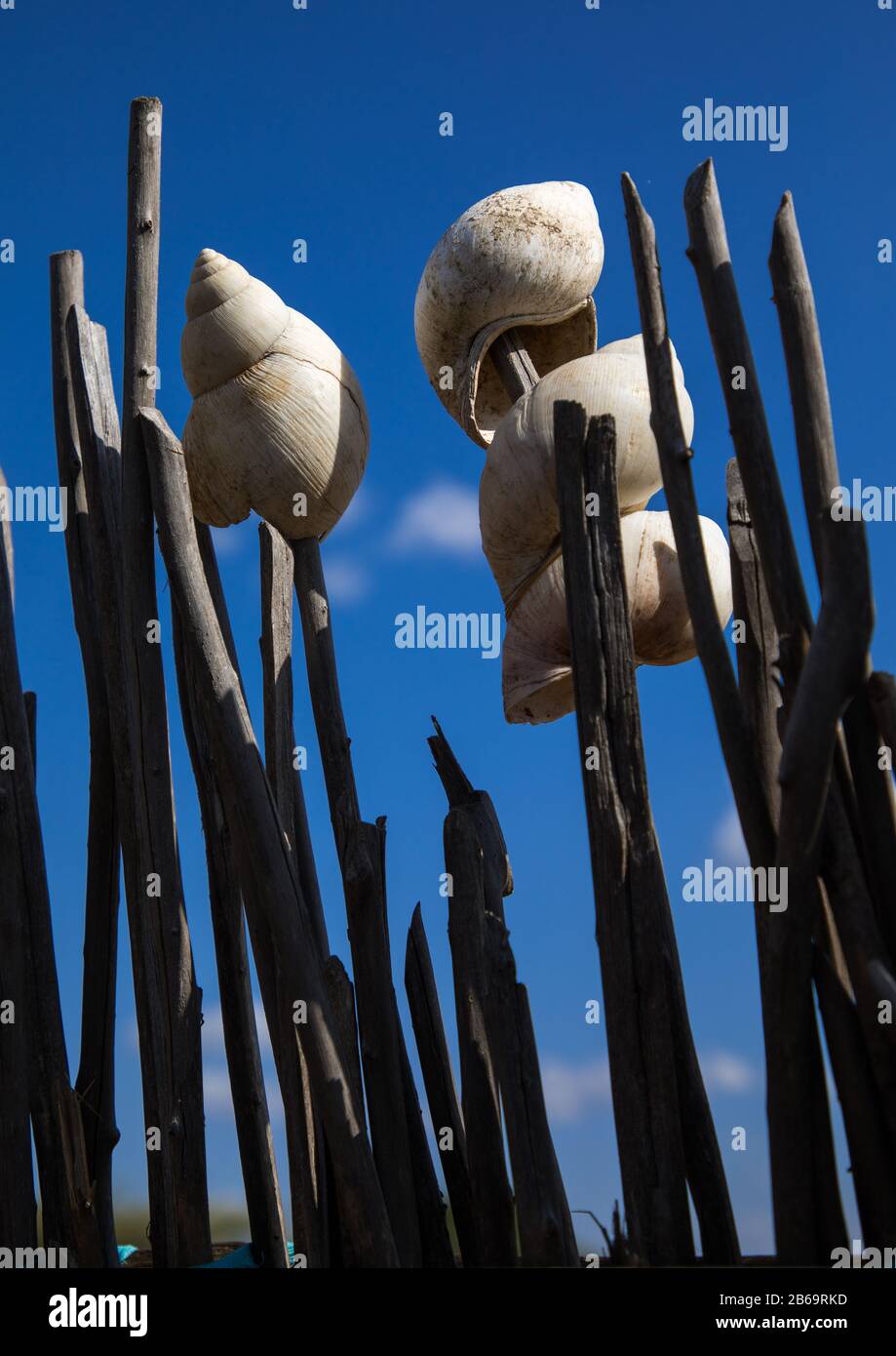 Snail nails on a house to bring luck in Larim tribe, Boya Mountains ...