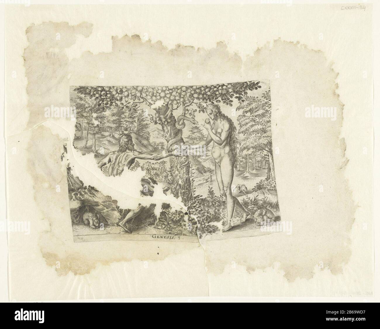 Tree of knowledge in genesis hi-res stock photography and images - Alamy