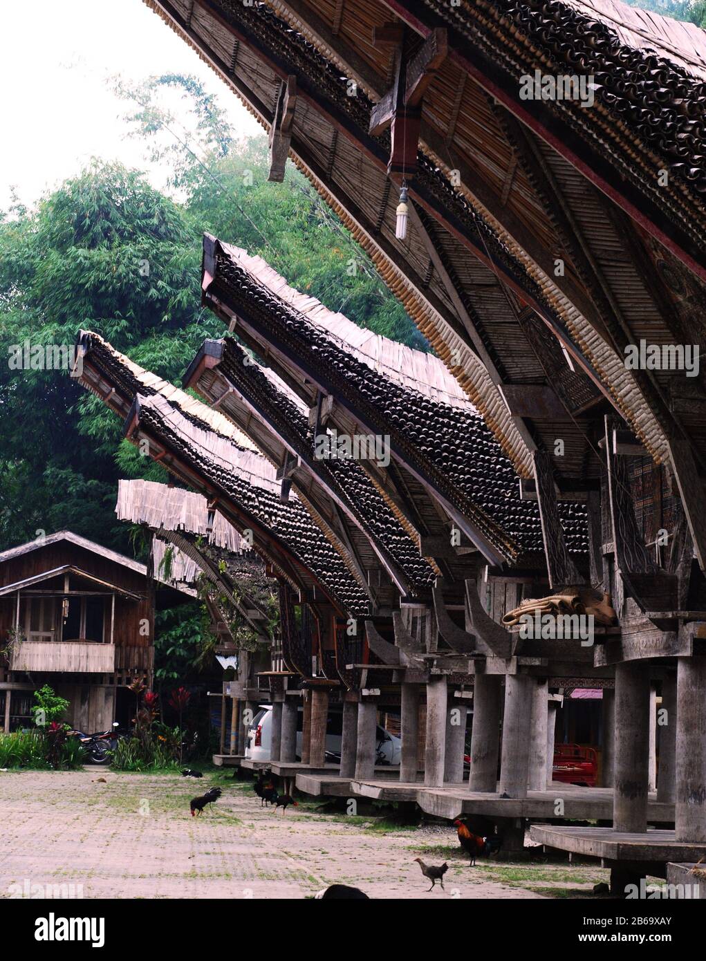 Exploretoraja hi-res stock photography and images - Alamy