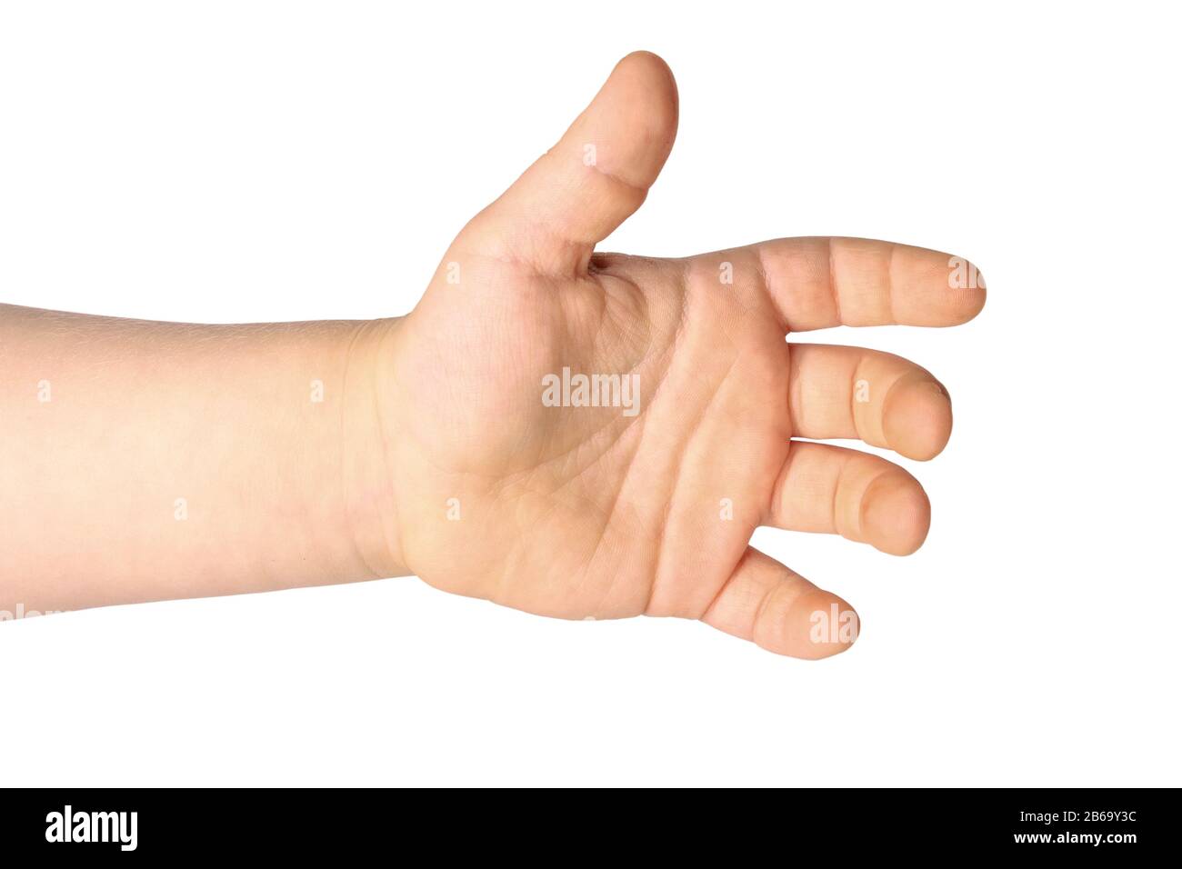 Baby palm hi-res stock photography and images - Alamy