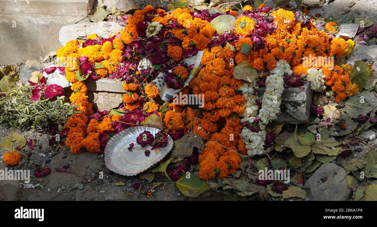 Wet waste hi-res stock photography and images - Alamy