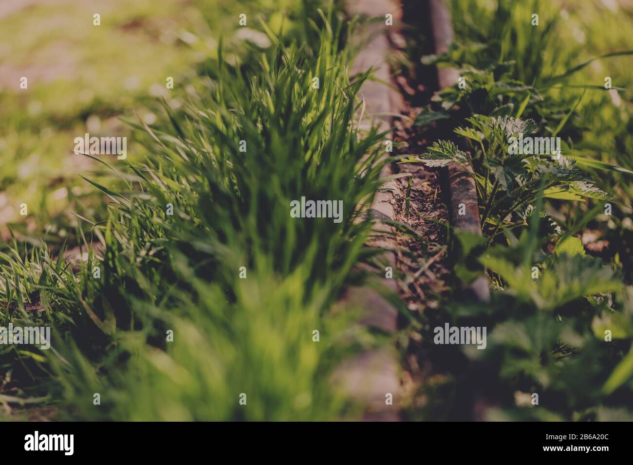 Defocus background Old rusty rail of an abandoned inoperative railway ...