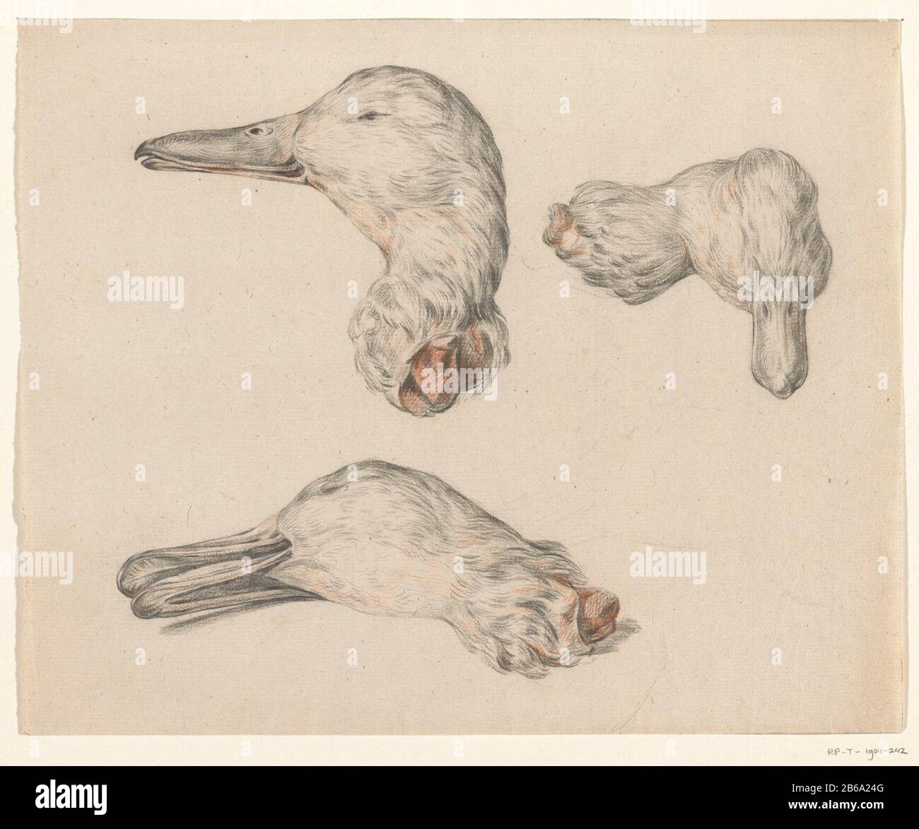 Severed Head Drawing