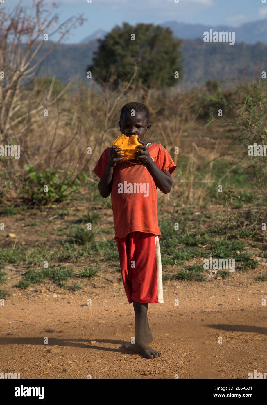 Larim tribe boy eating doum palm fruit, Boya Mountains, Imatong, South ...