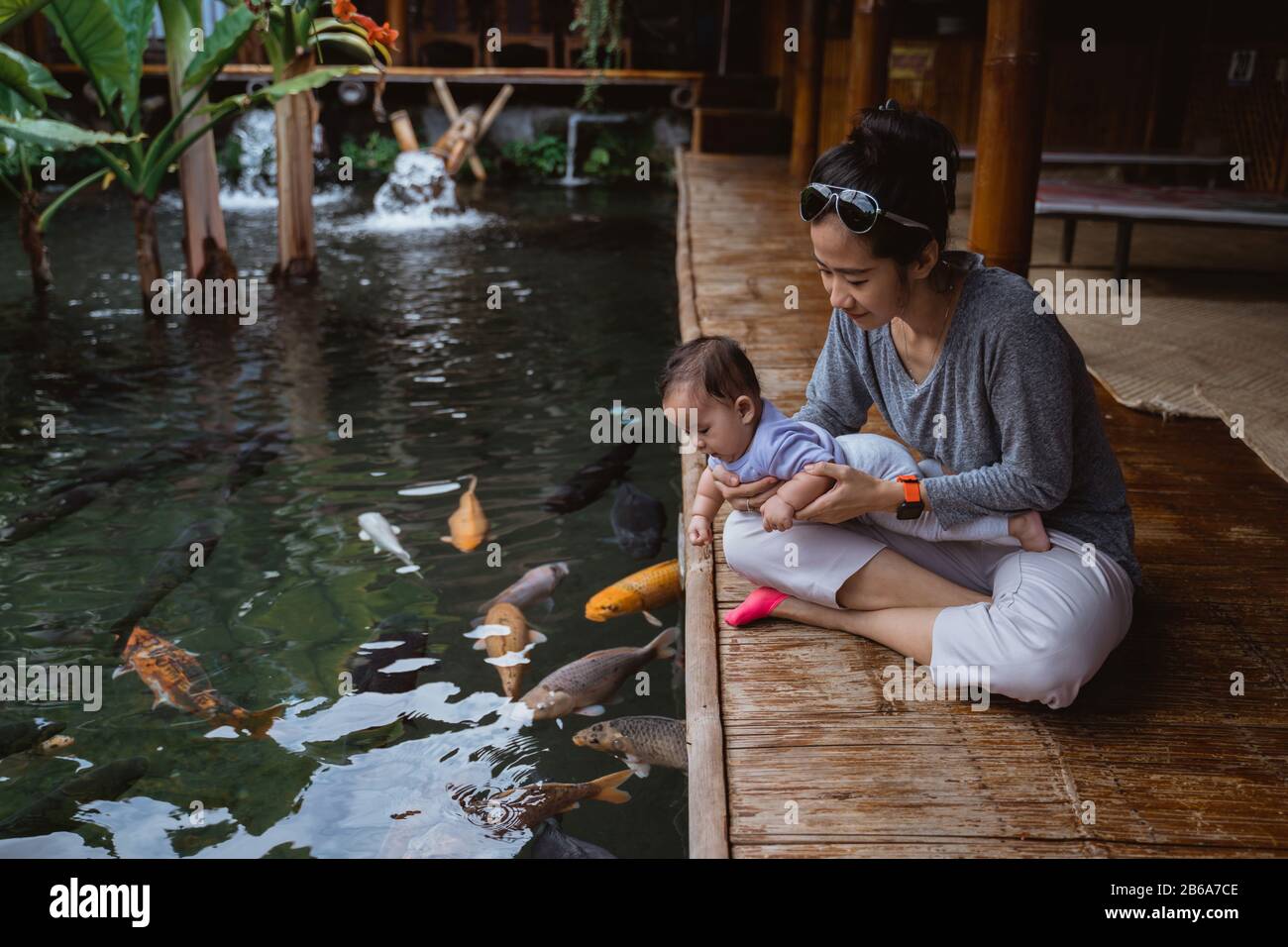 Mother baby fish cute hi-res stock photography and images - Alamy