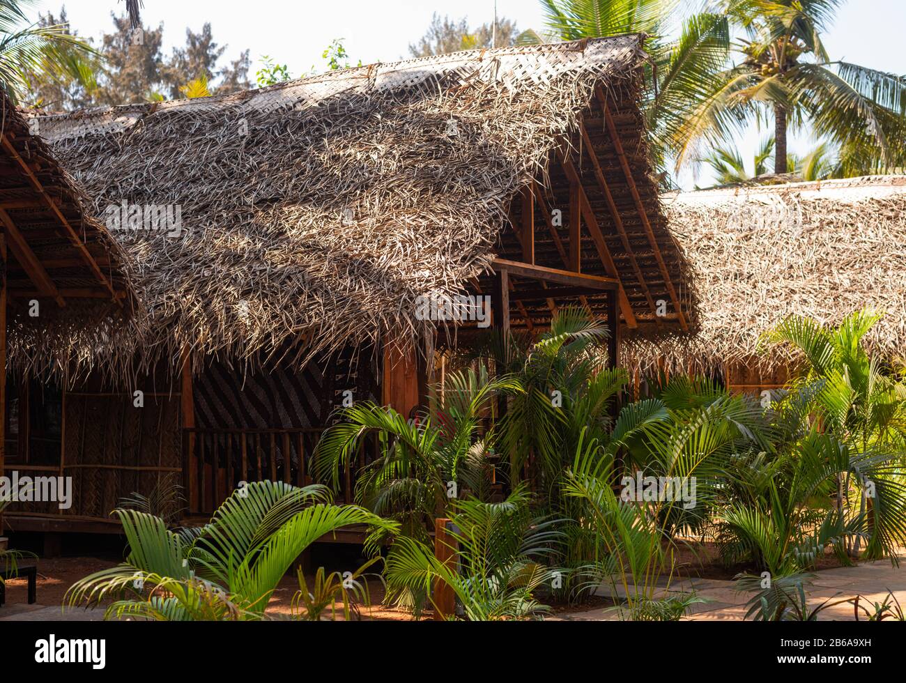 Coconut Tree Leaves Roof