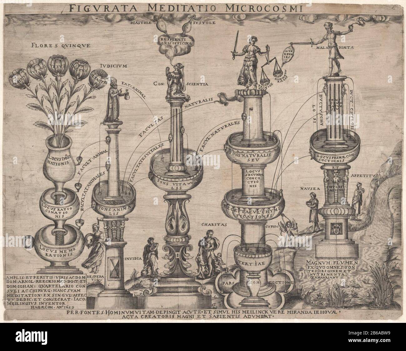 Microcosms hi-res stock photography and images - Alamy